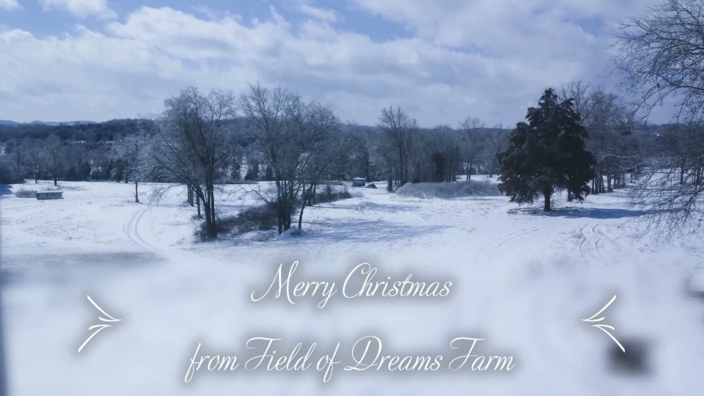 Merry Christmas and Happy New Year – Field of Dreams Farm